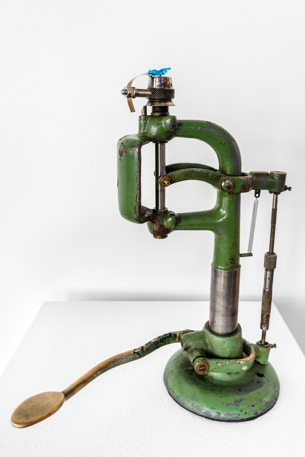 Dipteria’s sodomizer – Marcel Bétrisey